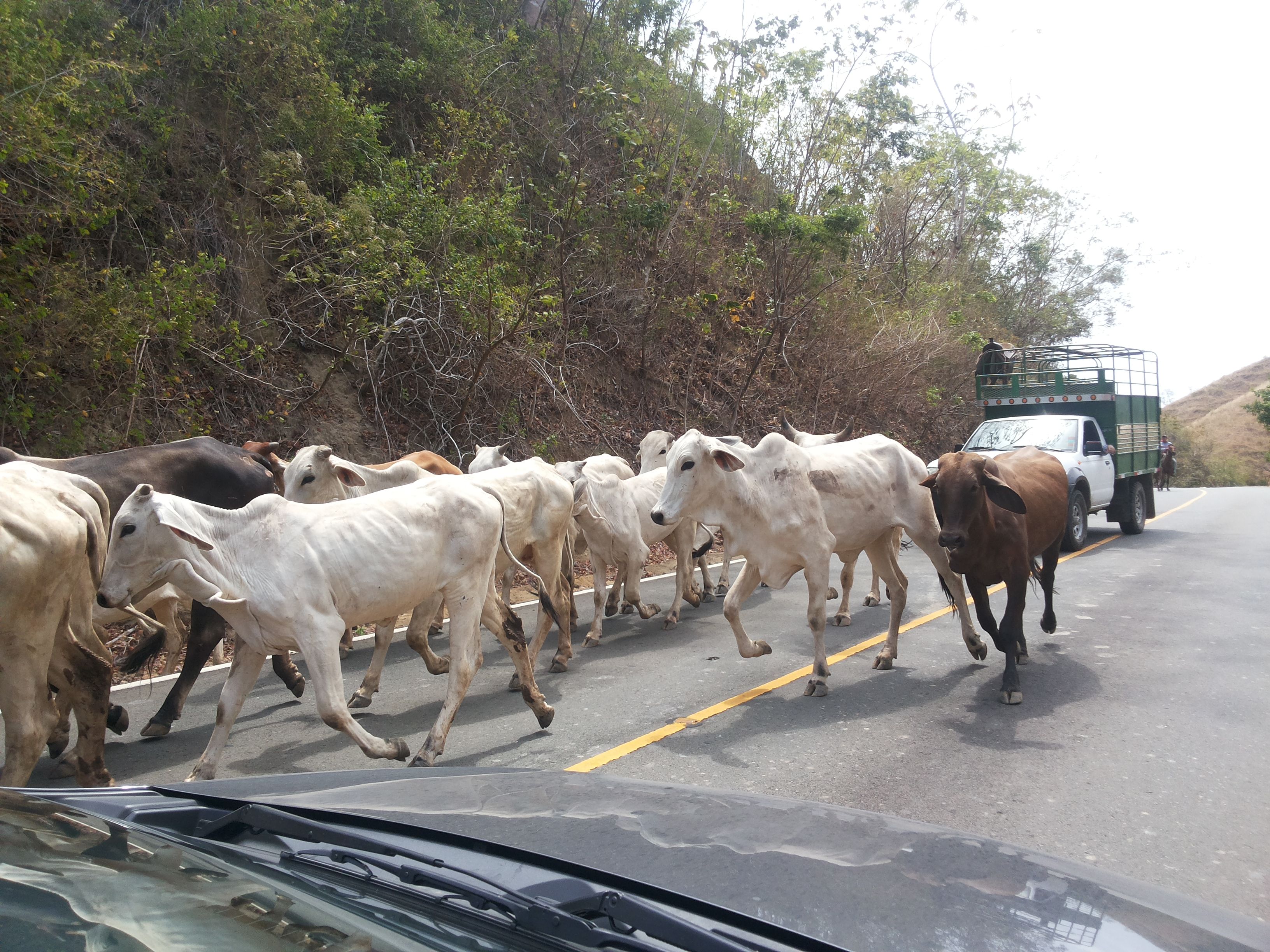 Tripeando en la Feria del Valle de Tonosí