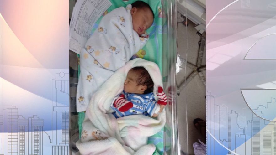 Nacen los primeros bebés bajo el programa de fertilización in vitro en ...