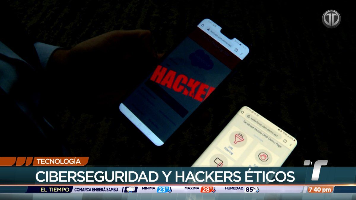 Importancia del Hacker de sombrero blanco