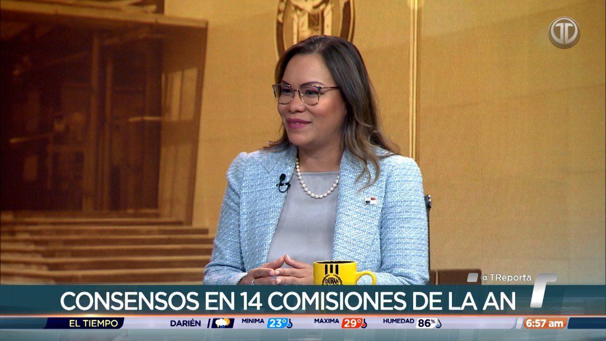 Diputada Patsy Lee habla sobre conformación de comisiones y explica por ...