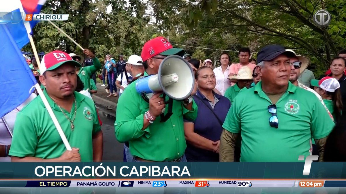 Últimas noticias sobre Operación Capibara