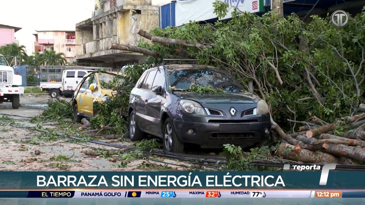 Caída de un enorme árbol deja sin luz al sector de Barraza
