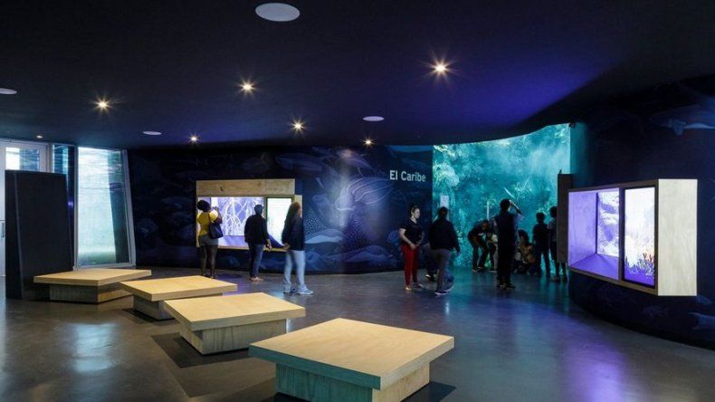 Biomuseo inaugura tres nuevas galerías