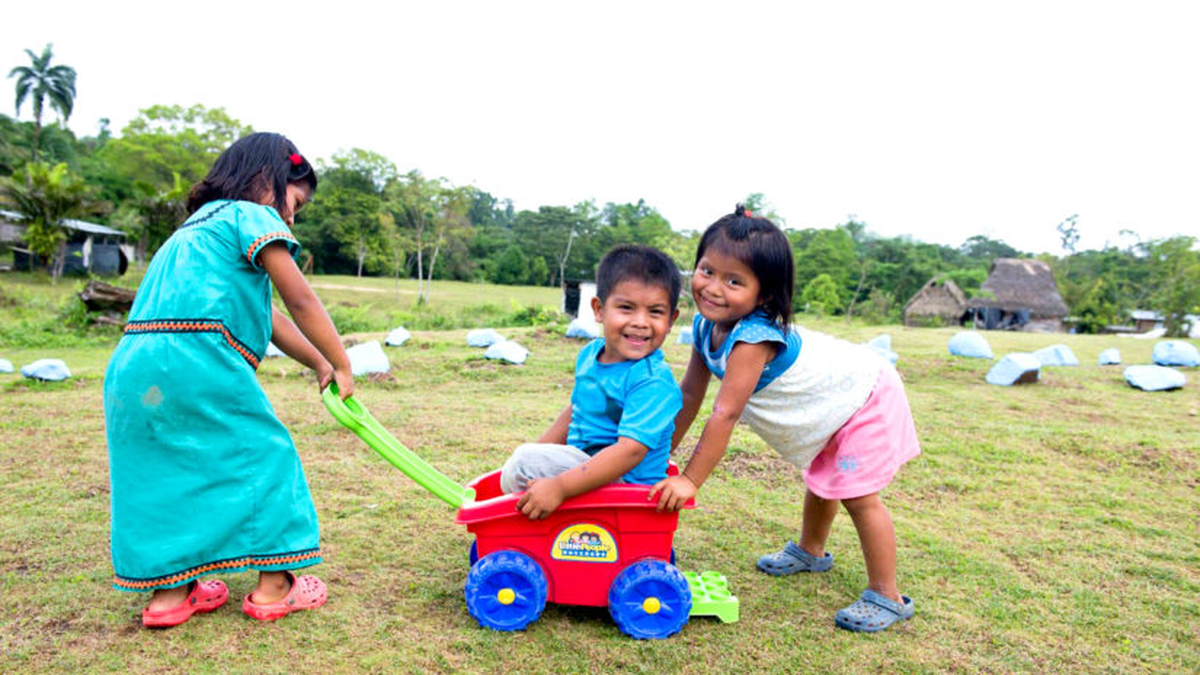 Nutre Hogar: ¿Cuál es su labor y cómo puede donar?