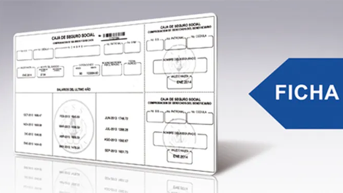 CSS, ficha digital: Así puedes acceder a la ficha de la Caja de Seguro ...