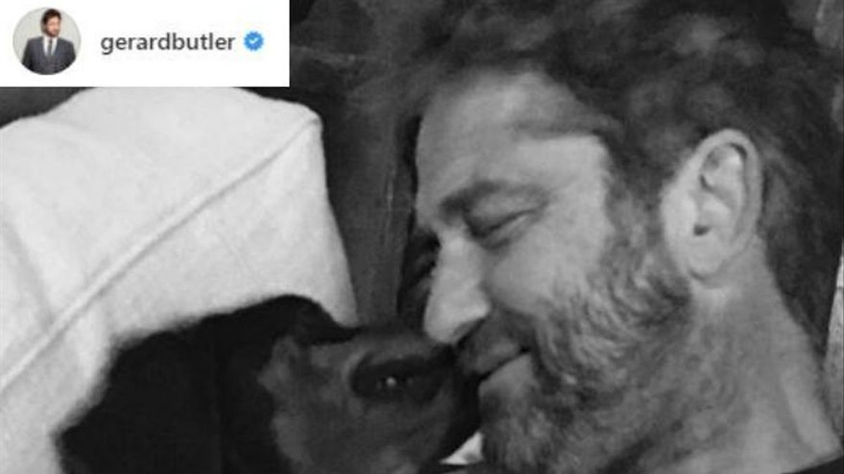Gerard Butler adopta a un perro callejero en Bulgaria