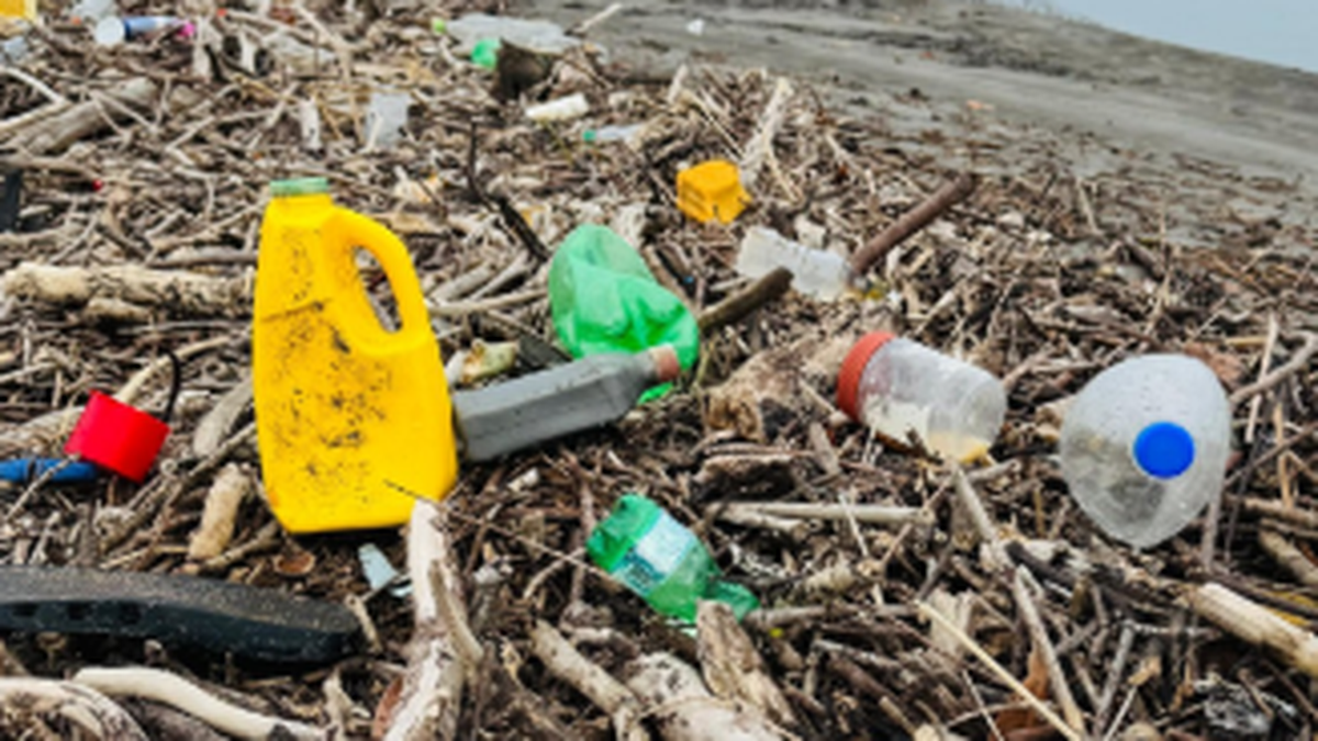 MiAmbiente y más de 200 voluntarios limpian Playa La Barqueta en Chiriquí