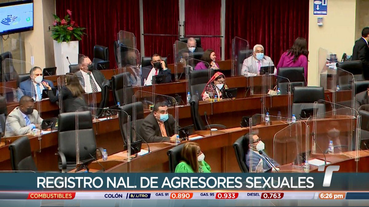 Pleno aprueba proyecto que crea el Registro Oficial de Ofensores Sexuales