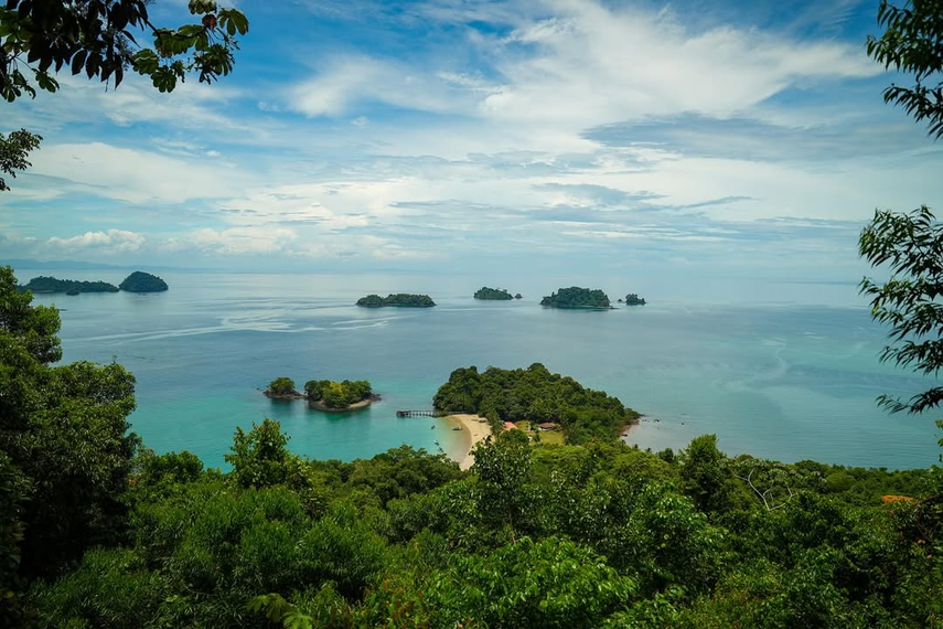 Descubre los diferentes tipos de bosques que componen el 68% de Panamá