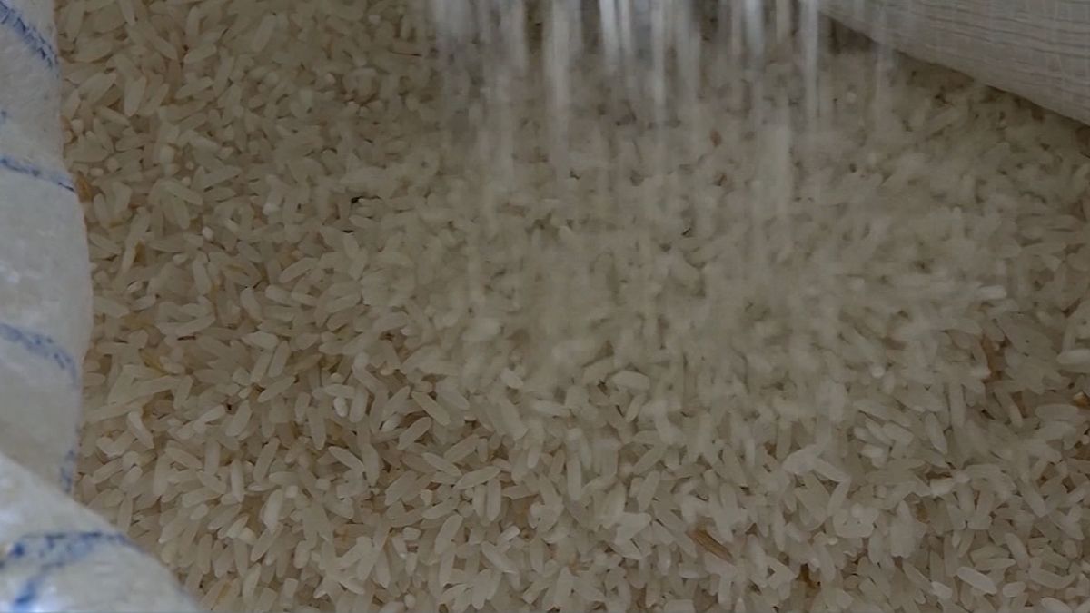 Analmo pide a Acodeco explicar análisis sobre calidad del arroz y ...