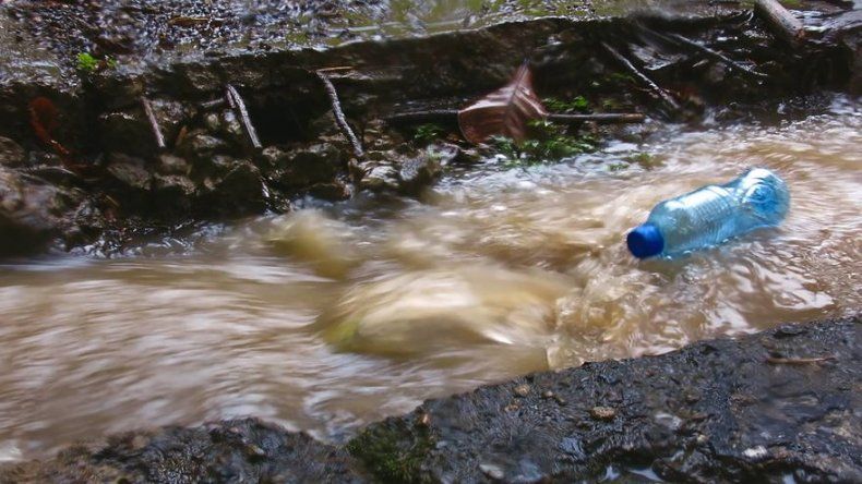 Presentan en Panamá nuevo vídeo de artistas Donna Conlon y Jonathan Harker