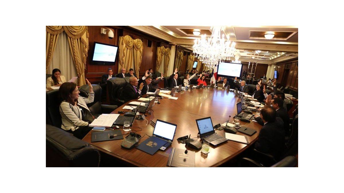 Últimas noticias sobre Meduca