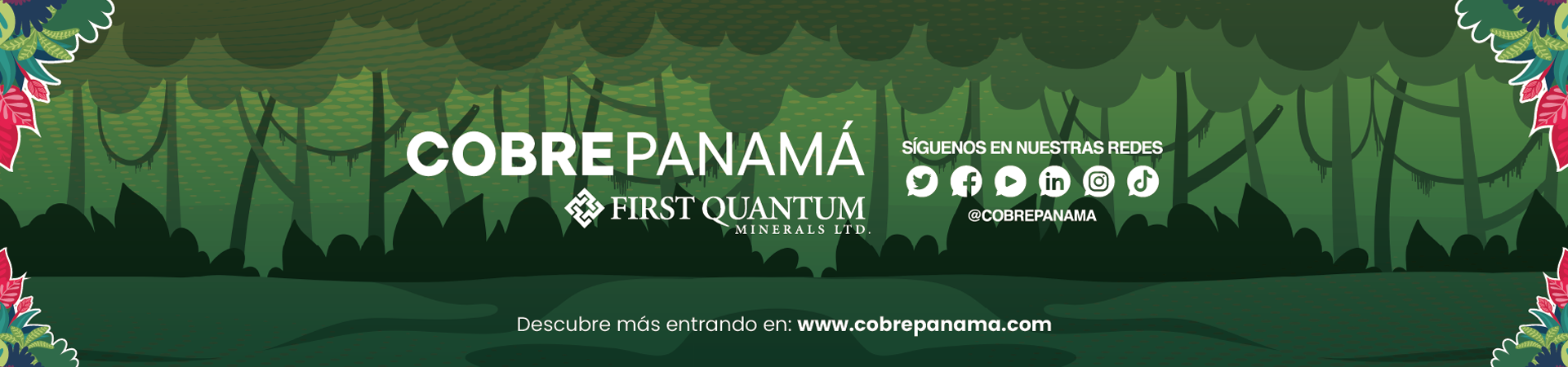 ¿Cobre Panamá solo extrae cobre? La realidad va más allá