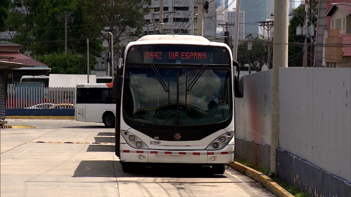 MiBus prevé movilizar a más de 400 mil usuarios a partir del lunes