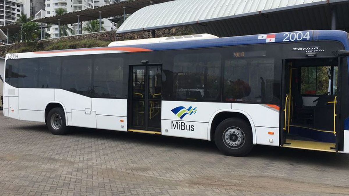 Mi Bus aumentará flota de buses para rutas de Panamá Este