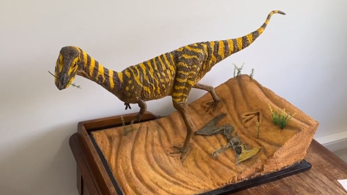 Descubren una nueva especie de dinosaurio en Brasil