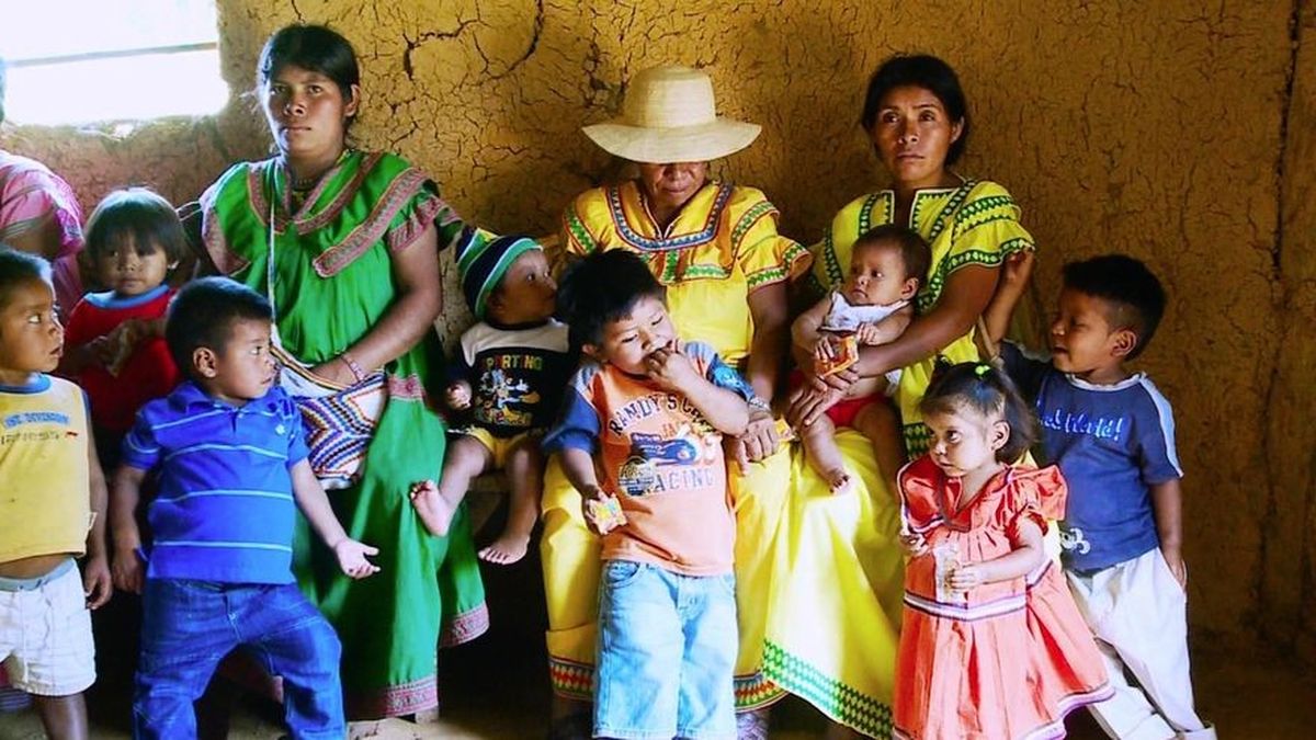 Nutrehogar: 30 años de solidaridad