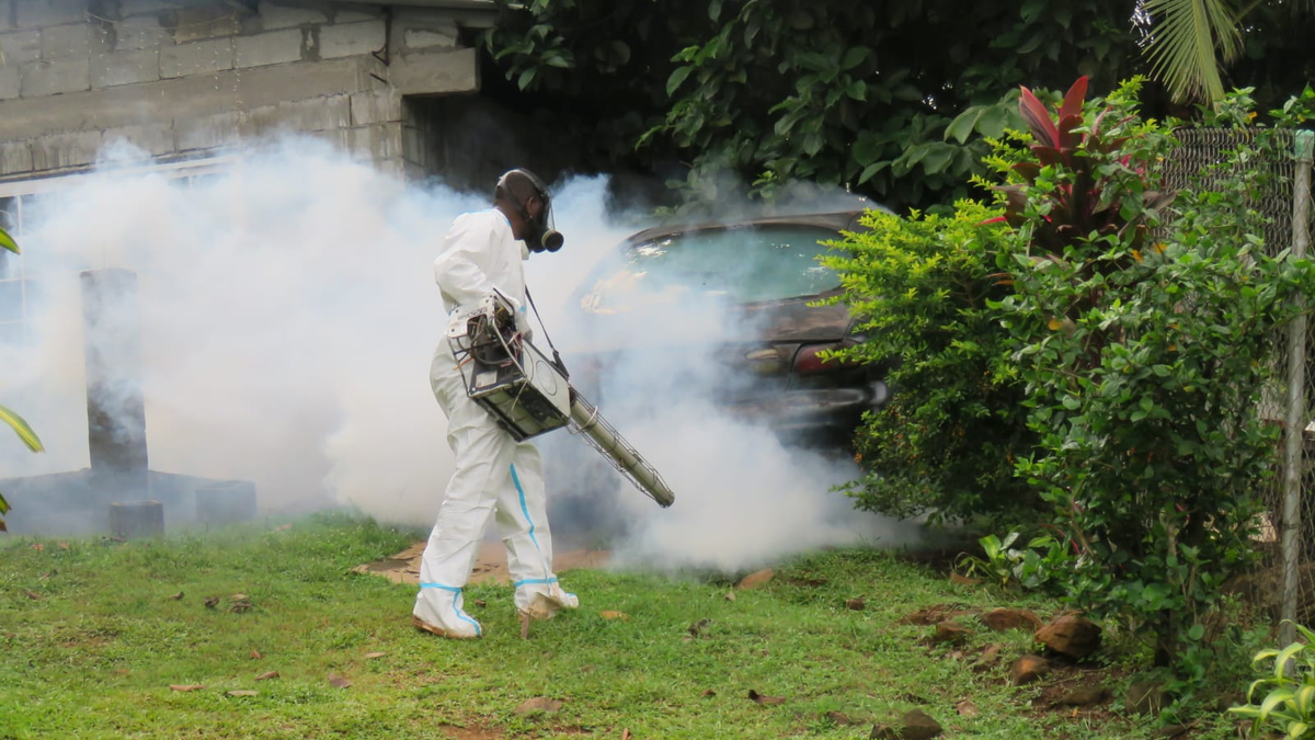 En Colón, el MINSA realiza jornadas de fumigación contra el dengue