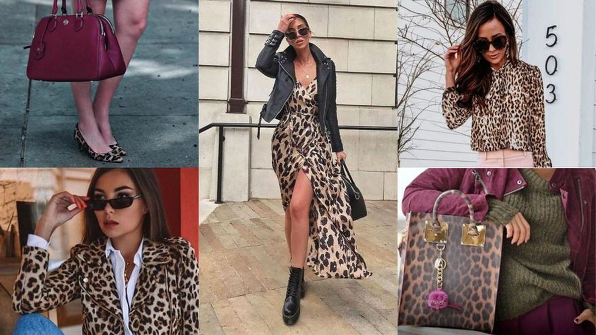 El animal print en estos días...