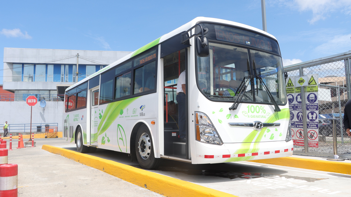 MiBus, buses sostenibles: ¿Cuándo y en qué ruta inicia?