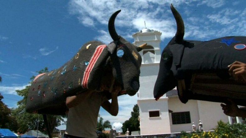 Con mucha danza arrancó el Festival de Toro Guapo en Antón