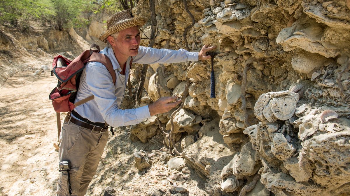 Fósiles expuestos de hace 7,000 años revelan cómo la pesca humana ...