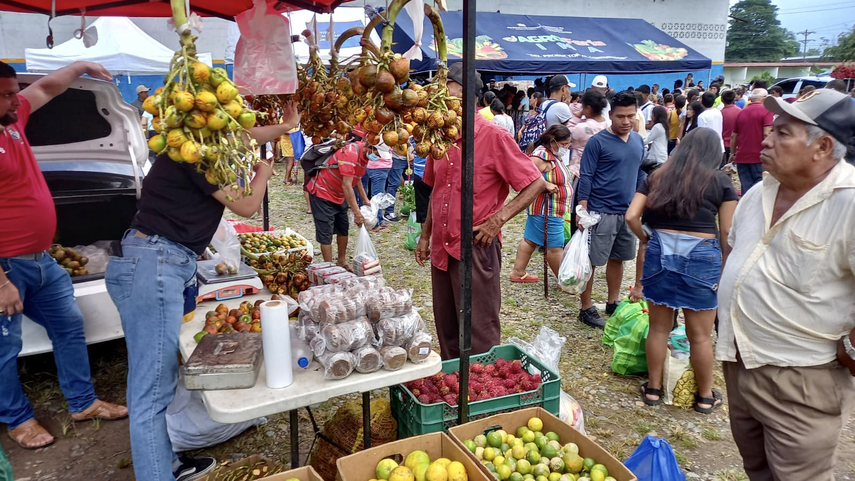 ¡Mañana! Agroferias del 13 de septiembre: Conoce dónde serán