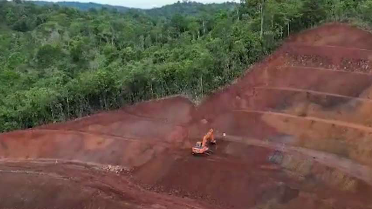 Ambientalistas denuncian irregularidades en proyecto de carretera ...