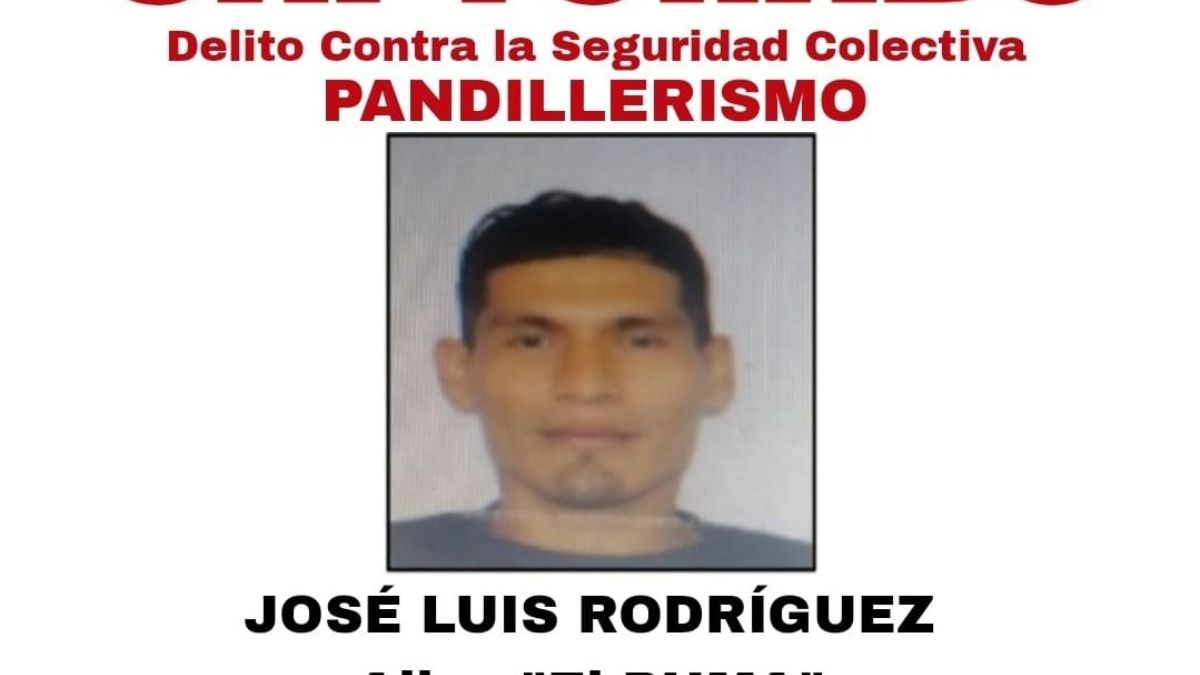 Aprehenden a alias El Puma, uno de los más buscados por pandillerismo