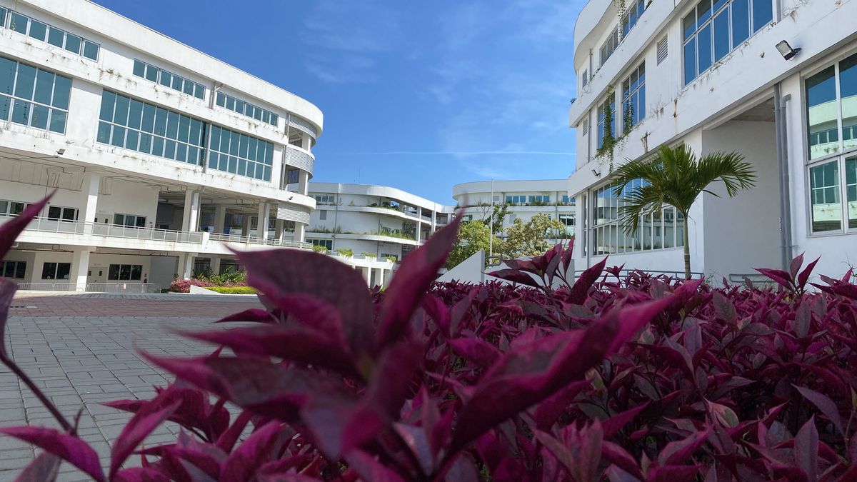 ITSE extiende inscripciones para el 3er cuatrimestre de 2024: Pasos ...