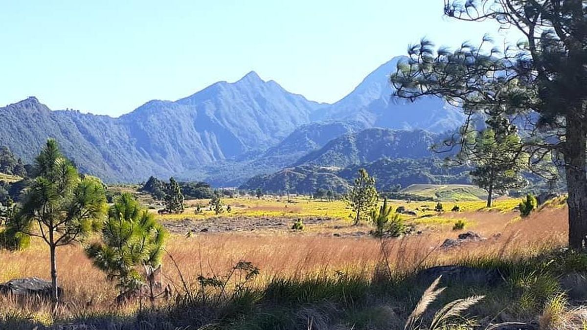 MiAmbiente autoriza el acceso a áreas protegidas de Chiriquí