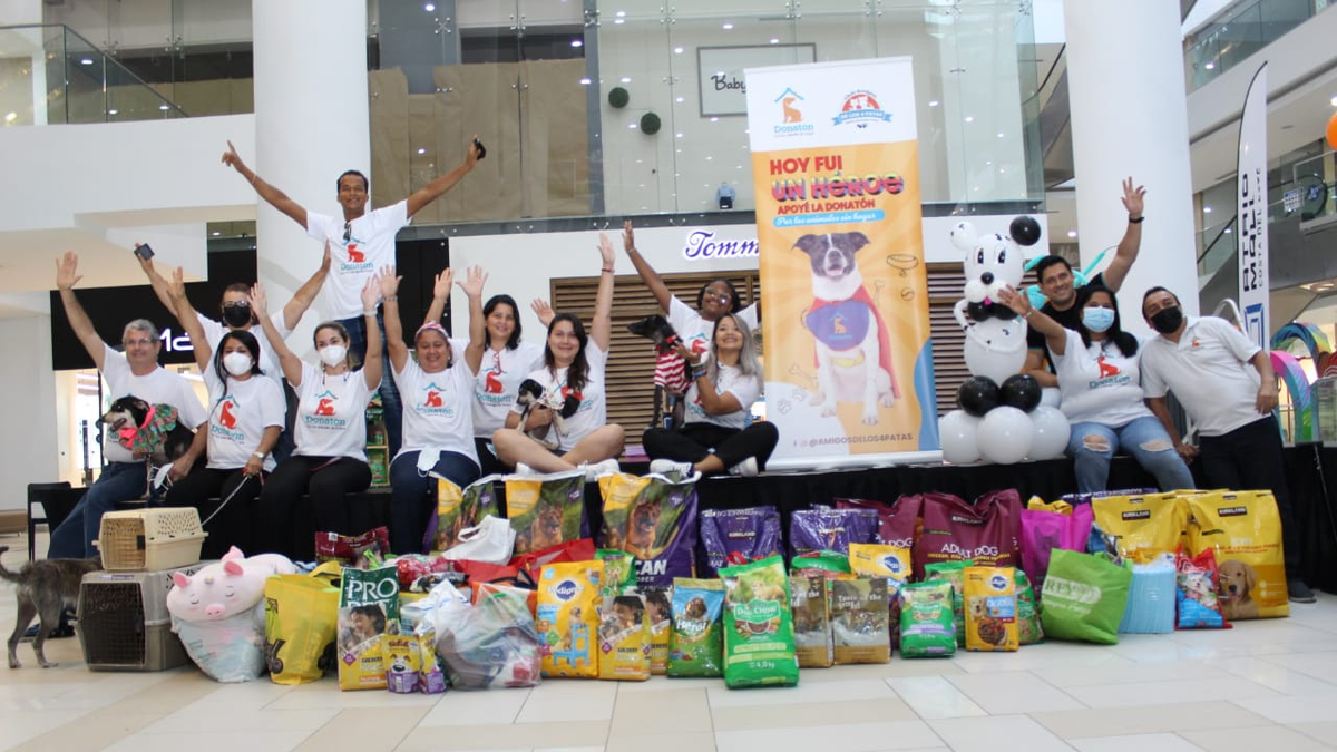 ¿Qué es la Donatón y por qué se realiza todos los años?