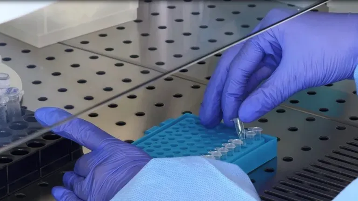 Ciudad de la Salud se especializa en estudios para reconocer ...