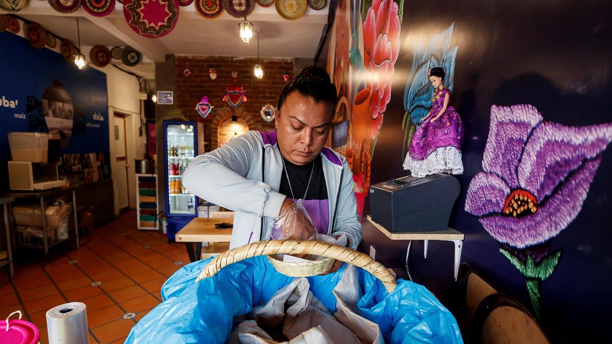 Lady Tacos de Canasta, la famosa vendedora trans salta a la política ...