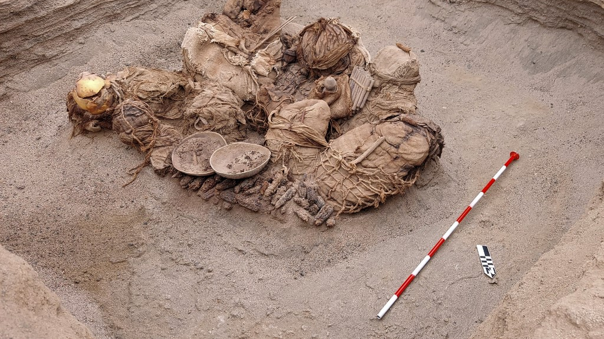 Una momia de más de mil años descubierta de forma fortuita en Perú por ...