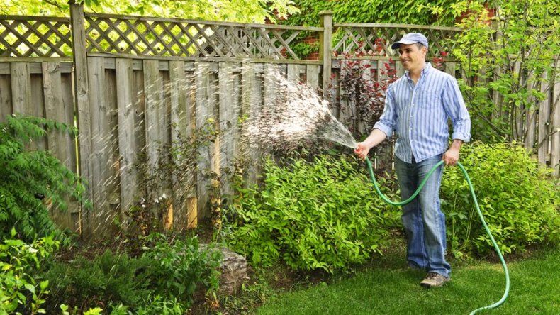 Tips para regar tu jardín en el verano