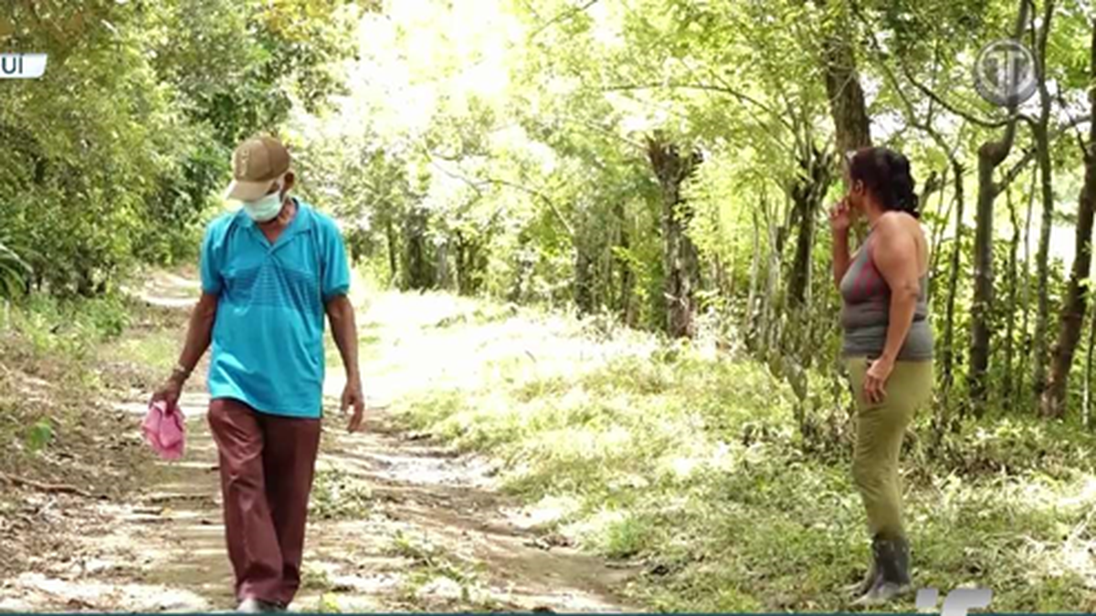 Investigan Muerte De Hombre Cuyo Cuerpo Fue Encontrado En Un Camino