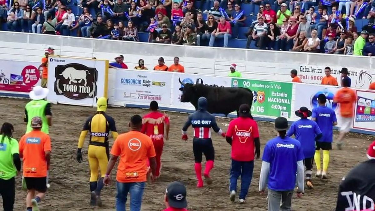 Toros a la tica, la polémica fiesta de fin de año en Costa Rica