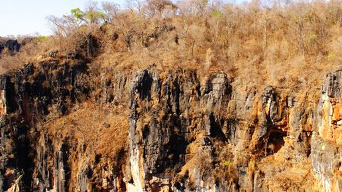 Científicos elaboran base de datos de bosque seco de Latinoamérica y Caribe
