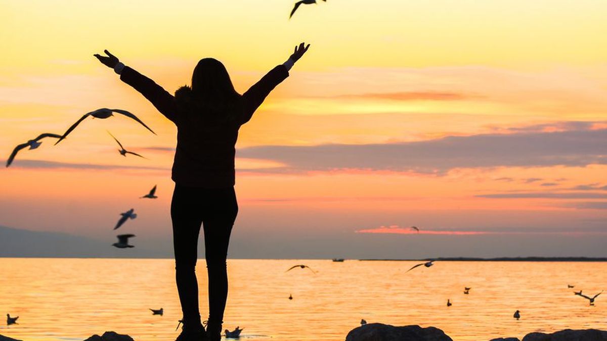 La extraña y fructífera relación de personas y pájaros para recolectar miel