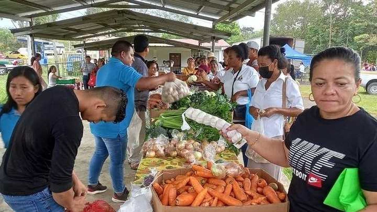 ¡MAÑANA! Agroferia en la provincia de Veraguas.