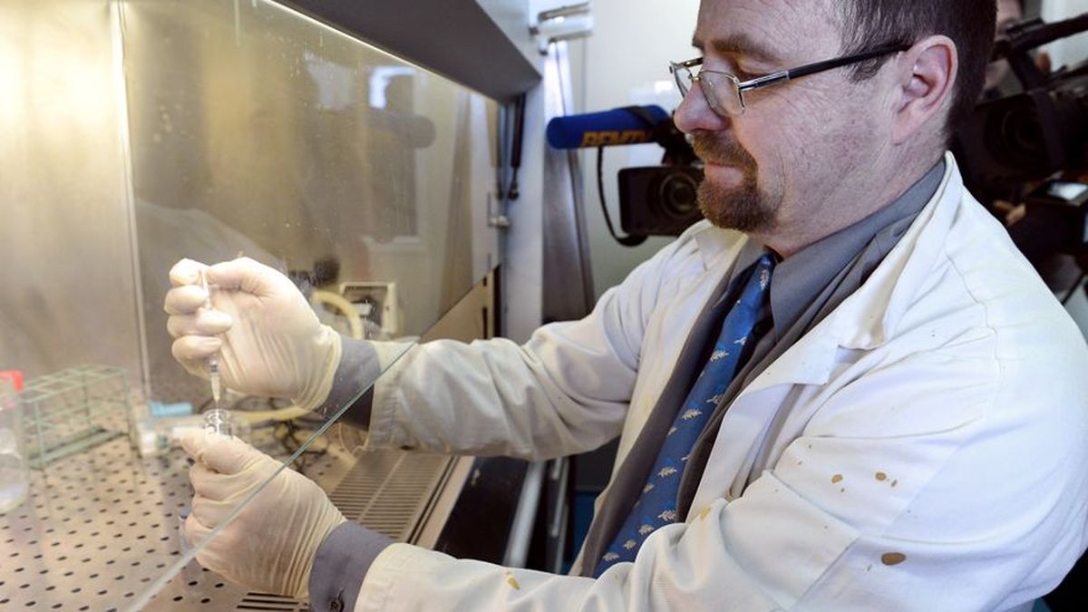 Vacuna contra el sida con resultados prometedores en monos