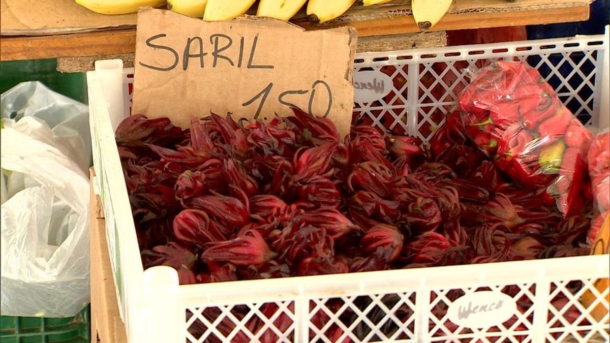 El saril ya empieza a llegar a los puestos de venta de Merca Panamá