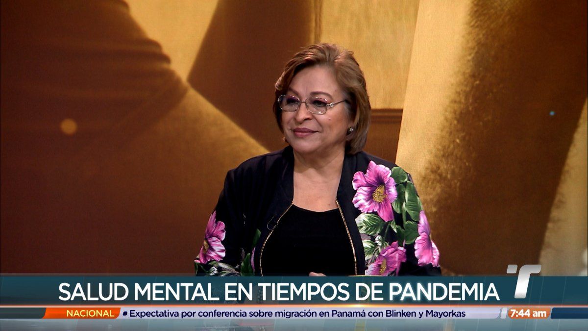 Últimas noticias sobre INSAM