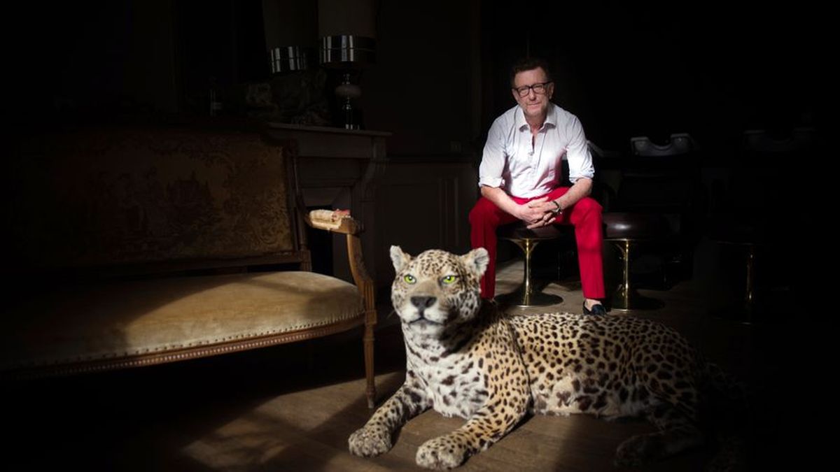 Los animales embalsamados, la última tendencia en decoración y diseño