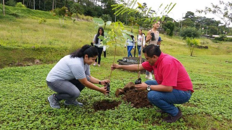 Siembran 900 plantas en la Amazonía ecuatoriana en el Día Nacional del ...