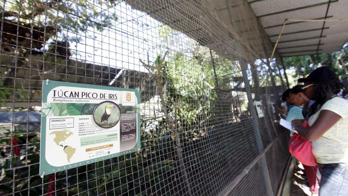 El Parque Municipal Summit cuenta los días para su transformación