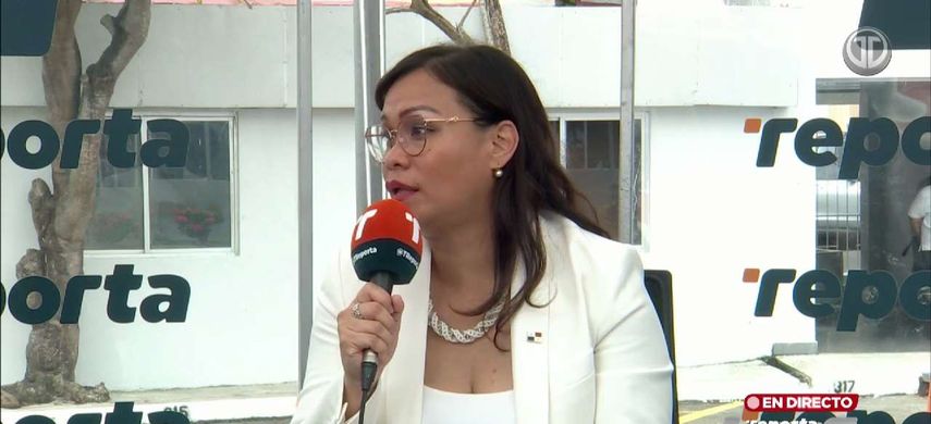 Diputada Patsy Lee denuncia intentos del Ejecutivo de quebrar votos en ...