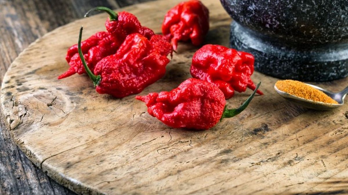 ¿Sabes cuál es el picante más fuerte del mundo?