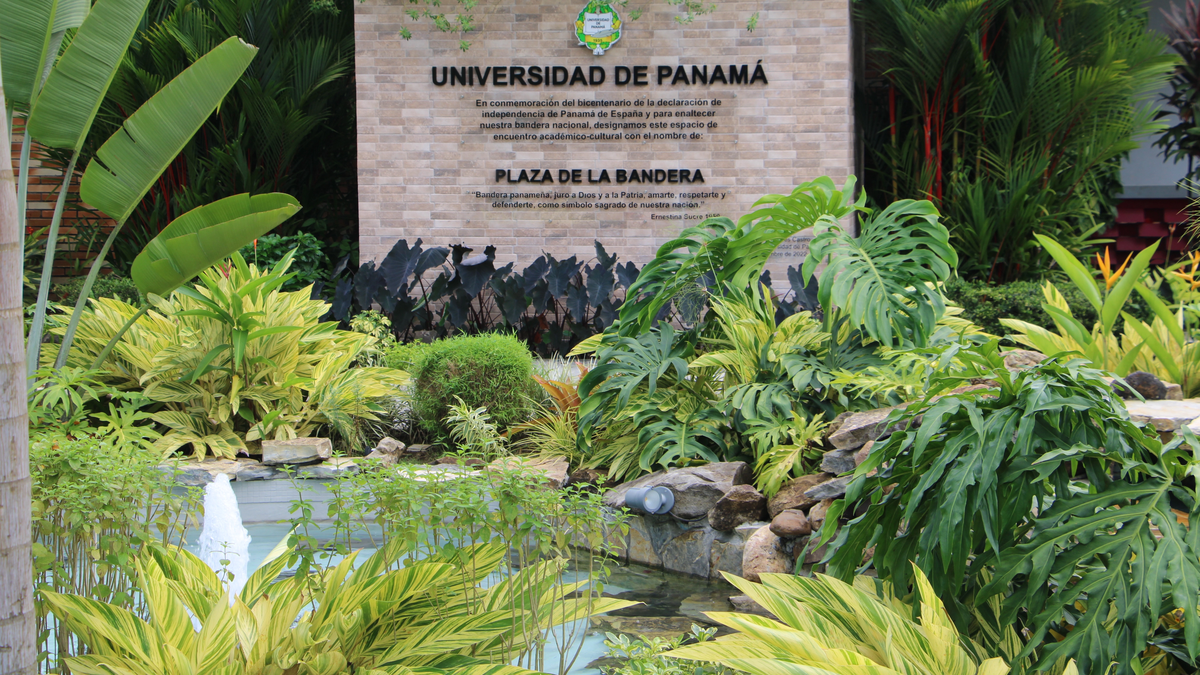 Universidad de Panamá: Más de 30 mil ciudadanos aspiran a ingresar a ...